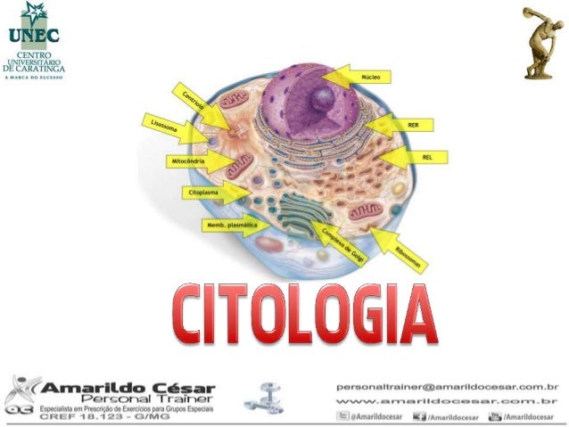 Biologia Com Imagens Estudo Das Celulas Citologia