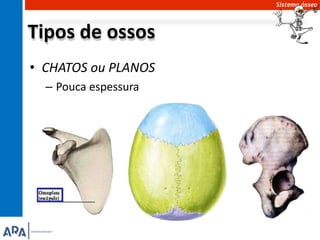 AULA 1 e 2 - ANATOMIA E FISIOLOGIA HUMANA (1).pptx