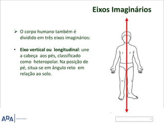 AULA 1 e 2 - ANATOMIA E FISIOLOGIA HUMANA (1).pptx