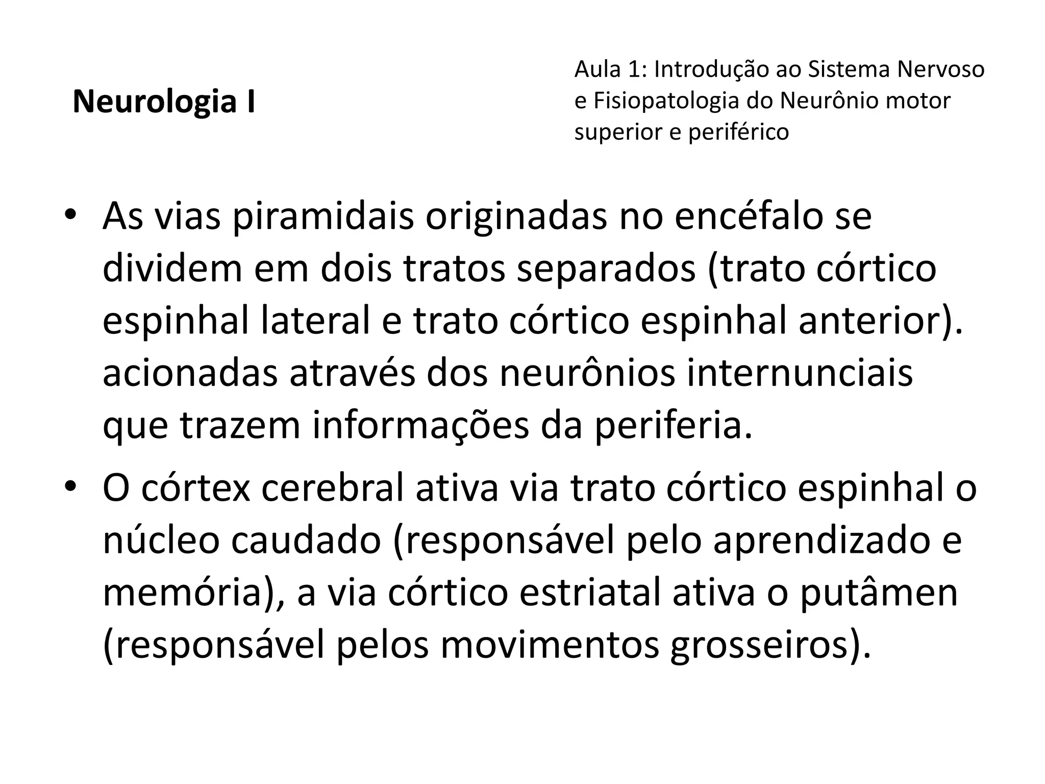 Sistema Nervoso - fisiopatologia do neurônio motor superior e ...