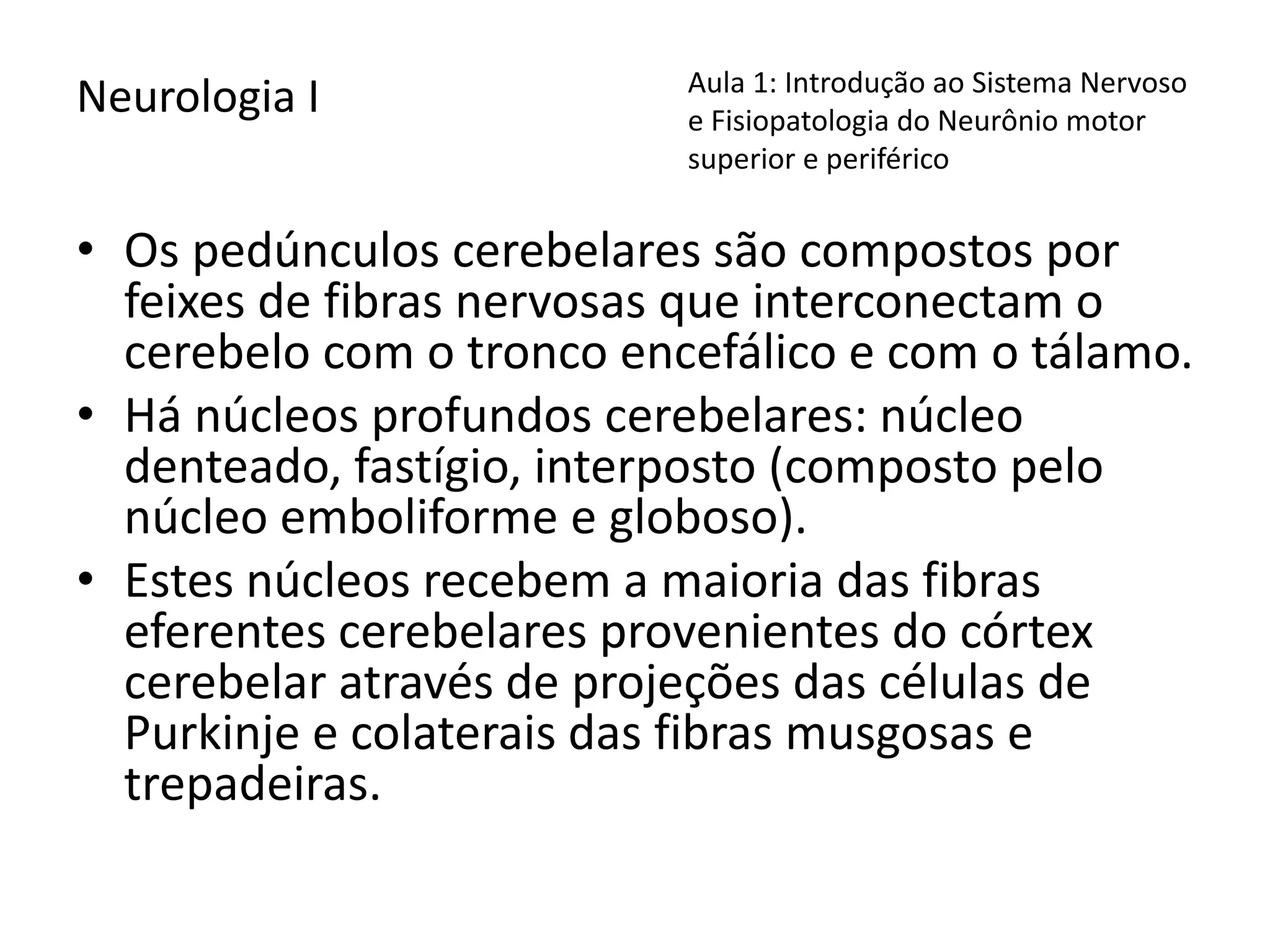 Sistema Nervoso - fisiopatologia do neurônio motor superior e ...