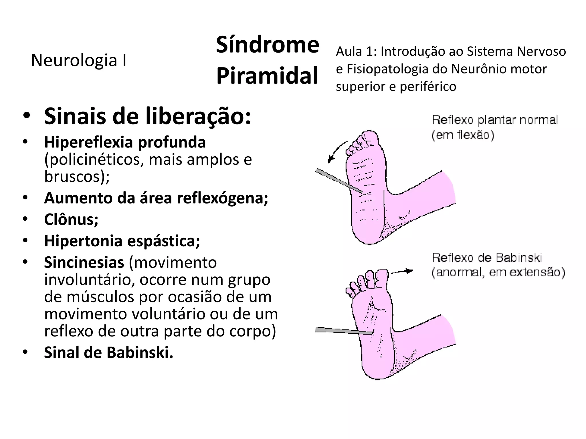 Sistema Nervoso - fisiopatologia do neurônio motor superior e ...