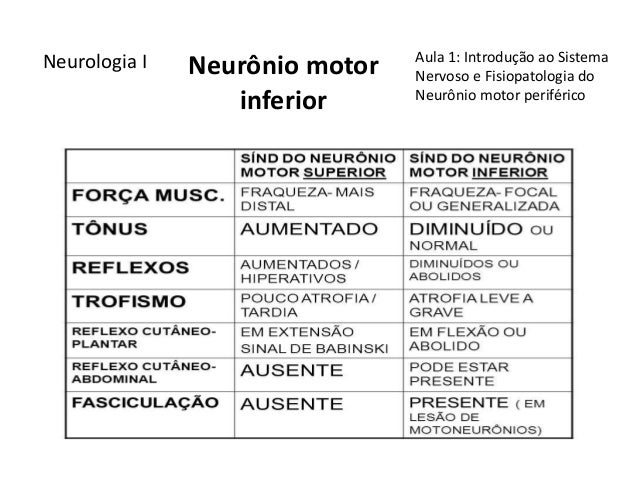 Sistema Nervoso - fisiopatologia do neurônio motor superior e perifé…