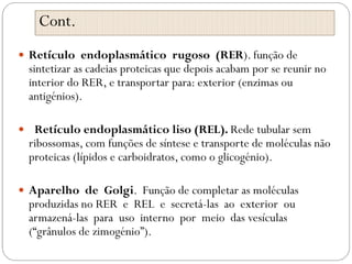 aula 1 introducao conceitos gerais, estrutura celular.pdf
