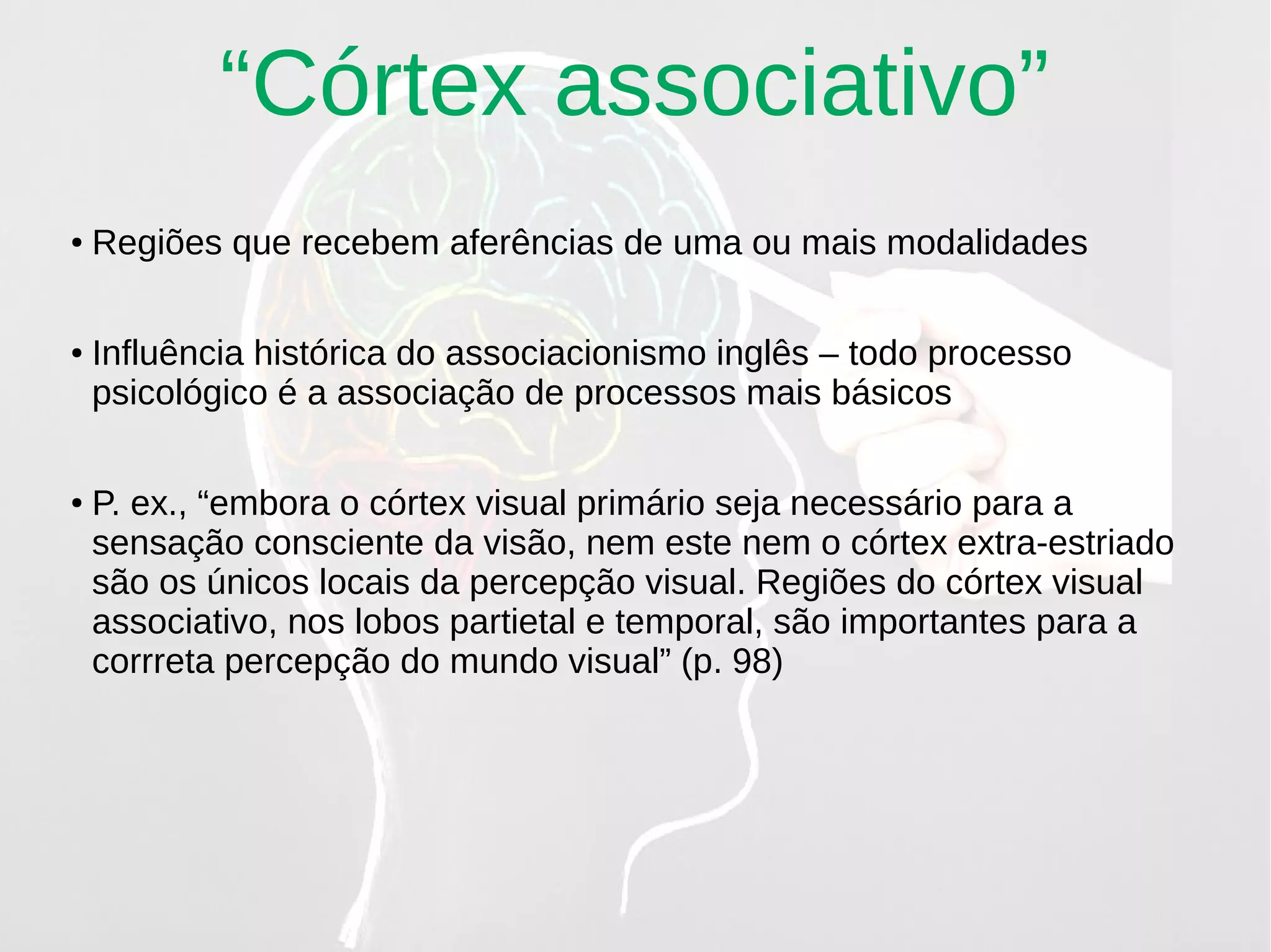 Neuroanatomia básica | ODP