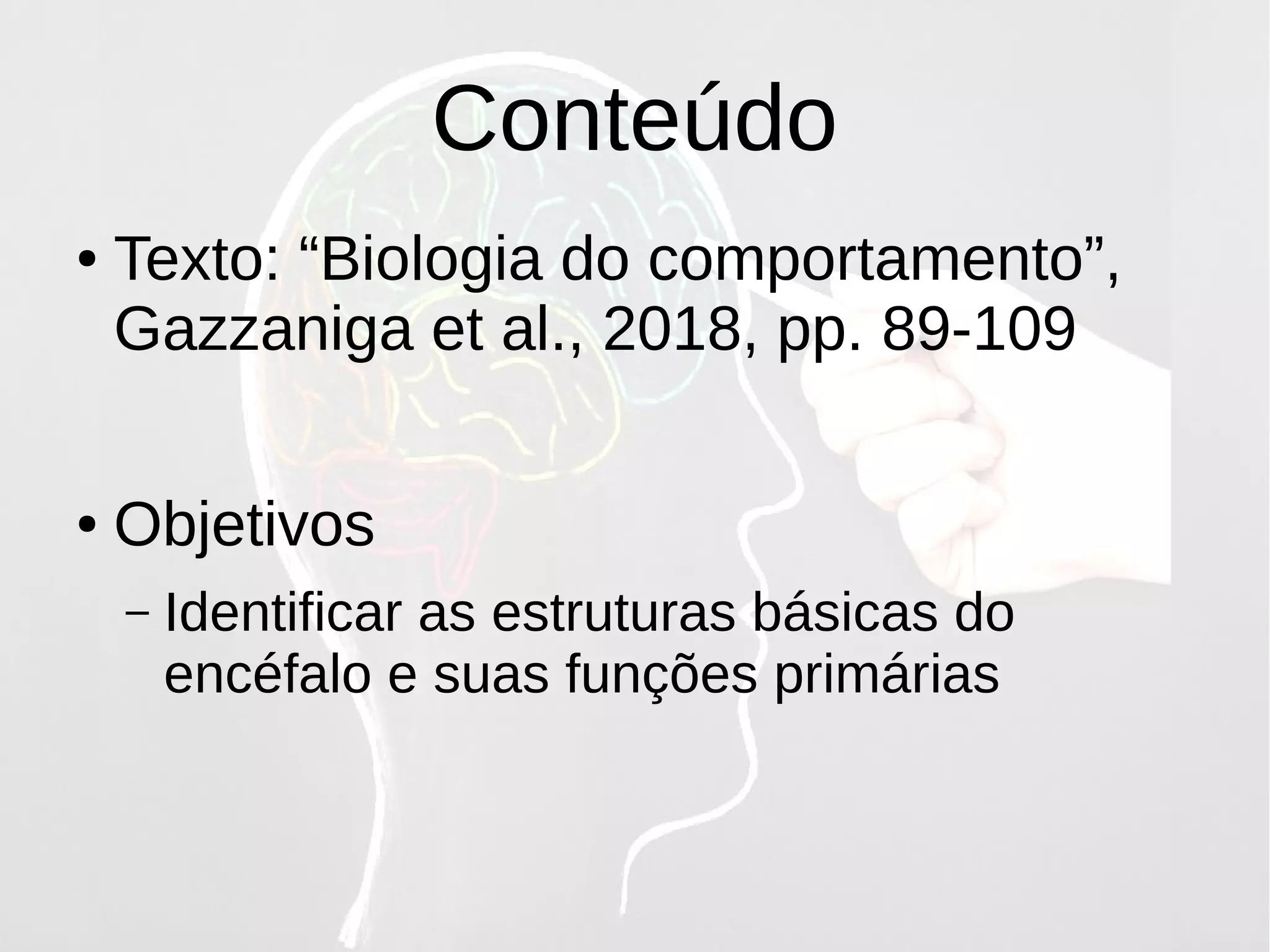 Neuroanatomia básica | ODP