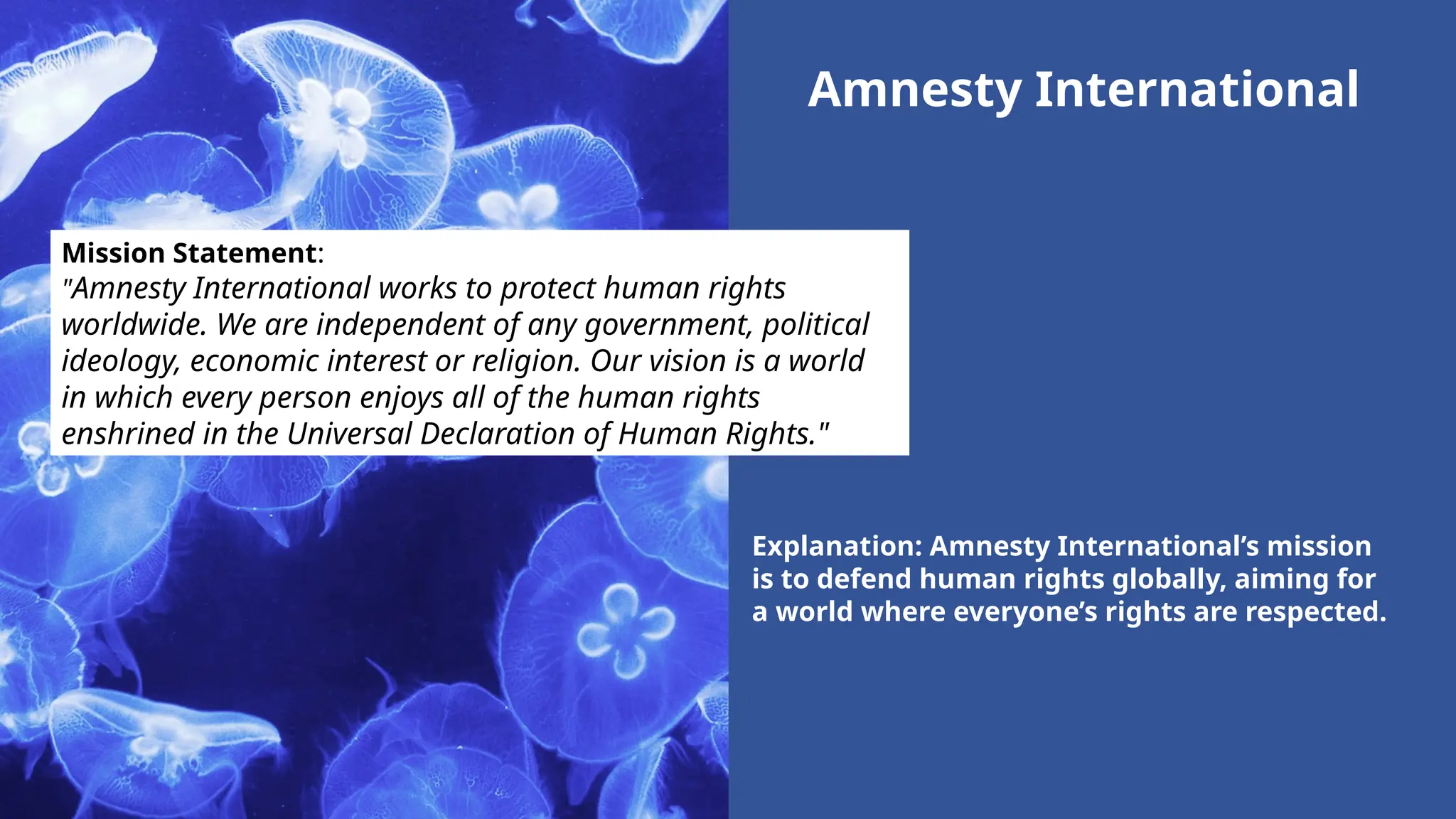 activism worksheet . professional course 11 year | PPTX