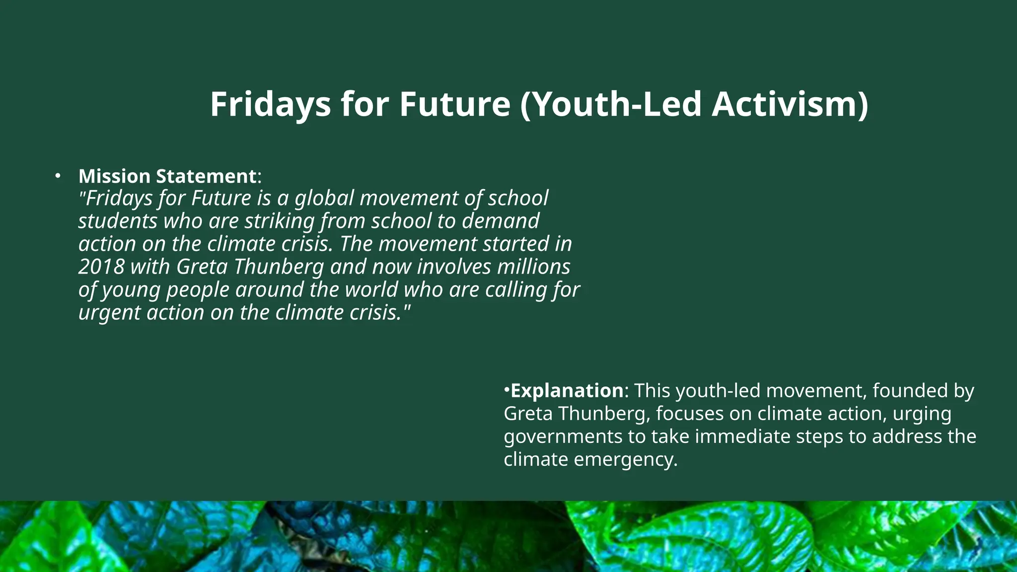 activism worksheet . professional course 11 year | PPTX