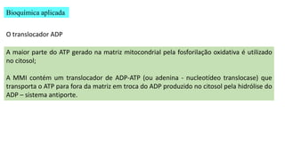 AULA 2- Cadeia de transporte de elétrons e fosforilação oxidativa-1.pptx
