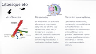 AULA 2 - Fisiologia-Celular estrutura e reações quimicas | PPTX