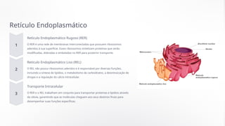 AULA 2 - Fisiologia-Celular estrutura e reações quimicas | PPTX