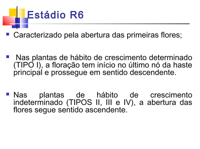 Morfologia E Fenologia Do Feijão