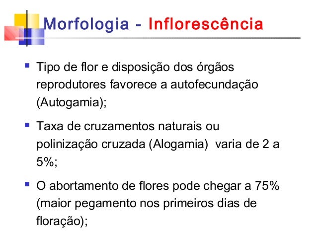 Morfologia E Fenologia Do Feijão