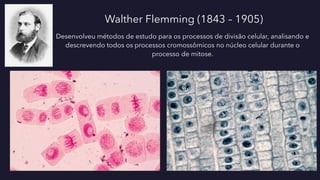 Aula 2 -Origem da vida - Principais marcos históricos - Organização ...