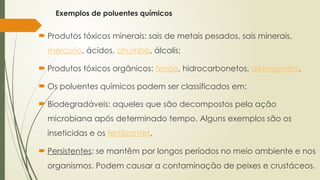 Aula 2 - Poluentes no Meio Ambiente.pptx