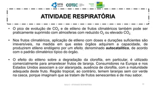 Aula 2 - SLIDES - Atividade respiratória.pptx