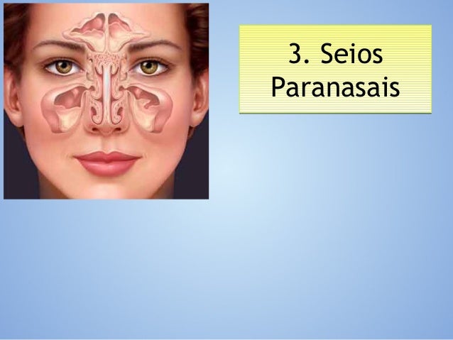 Anatomia - Sistema Respiratório