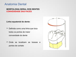 Aula 2 de Anatomia Dental.pptx - morfologia | PPTX