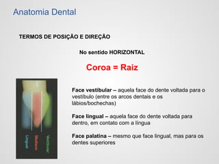 Aula 2 de Anatomia Dental.pptx - morfologia | PPTX