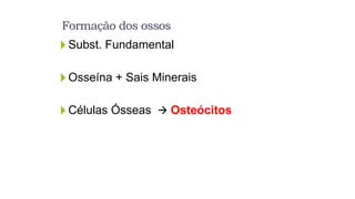 AULA 2 ANATOMIA SISTEMA ESQUELÉTICO.pptx
