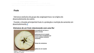 resumo aula 2 ano biologia revisão jumh.pptx