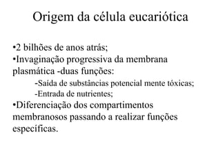 Aula 2 bio | PPTX