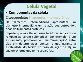 Aula 2 celula vegetal | PPTX