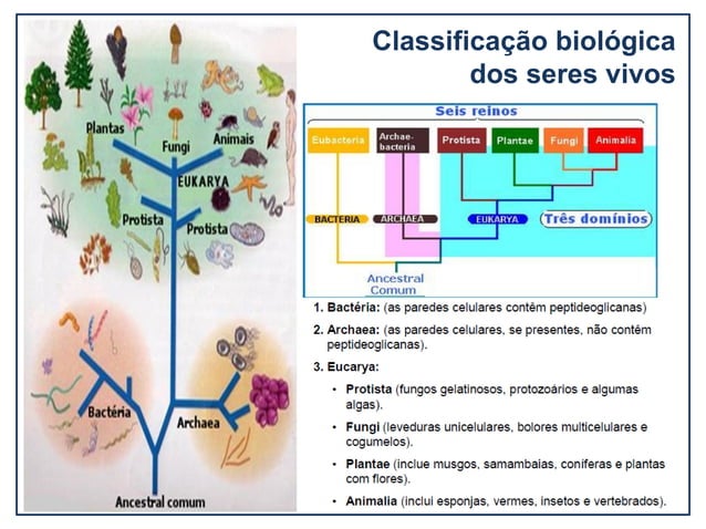 Aula 2 Classificação biológica dos seres vivos.pdf