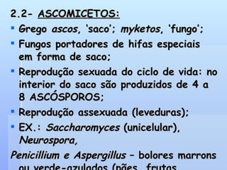Aula 2 ClassificaçãO Dos Fungos | PPT