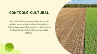 Aula 2 Métodos de controle para Manejo integrado de pragas | PDF