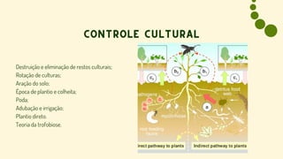 Aula 2 Métodos de controle para Manejo integrado de pragas | PDF