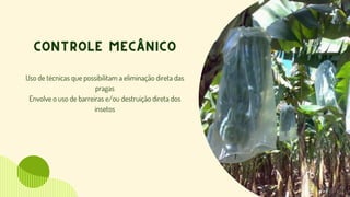 Aula 2 Métodos de controle para Manejo integrado de pragas | PDF