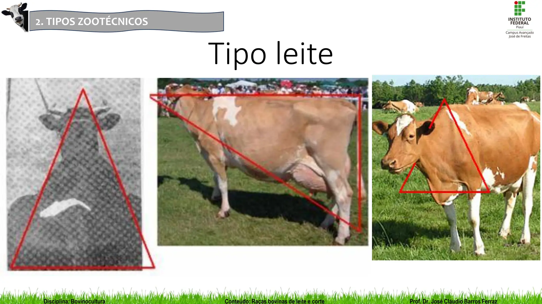 Aula 2_Principais raças bovinas de leite e corte.pdf