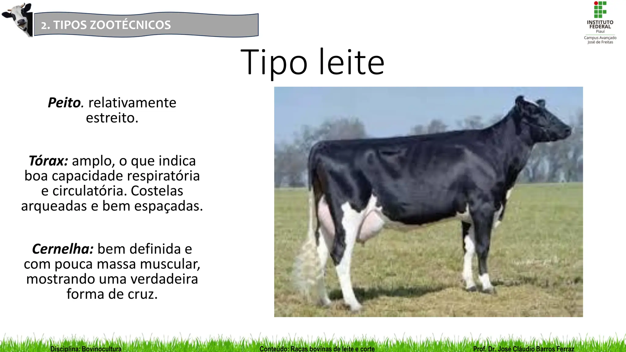 Aula 2_Principais raças bovinas de leite e corte.pdf