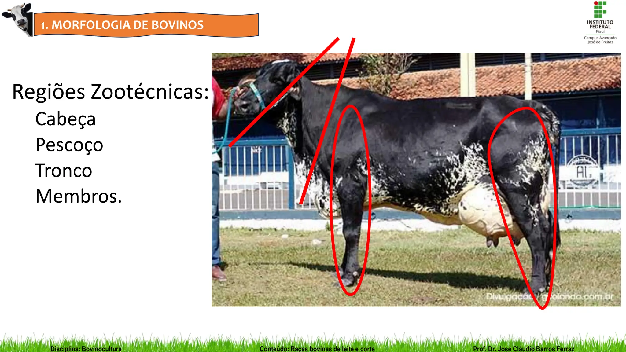 Aula 2_Principais raças bovinas de leite e corte.pdf