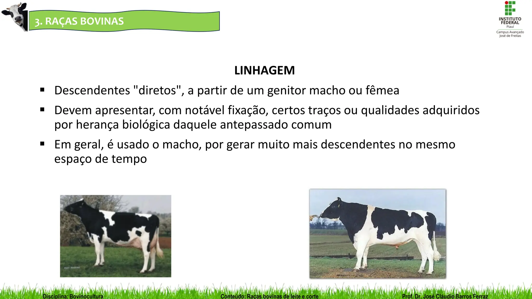 Aula 2_Principais raças bovinas de leite e corte.pdf