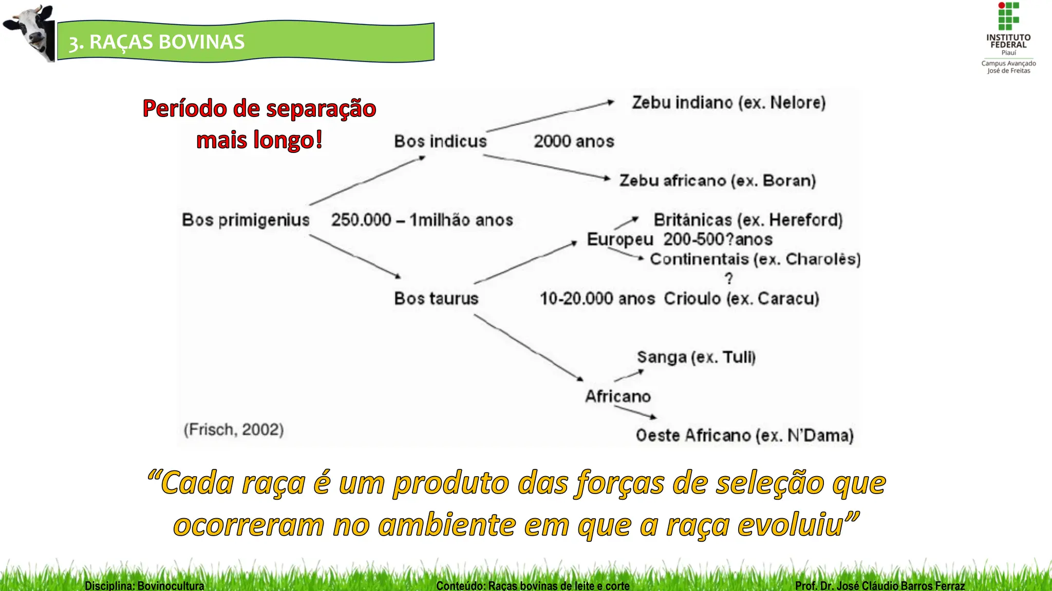 Aula 2_Principais raças bovinas de leite e corte.pdf