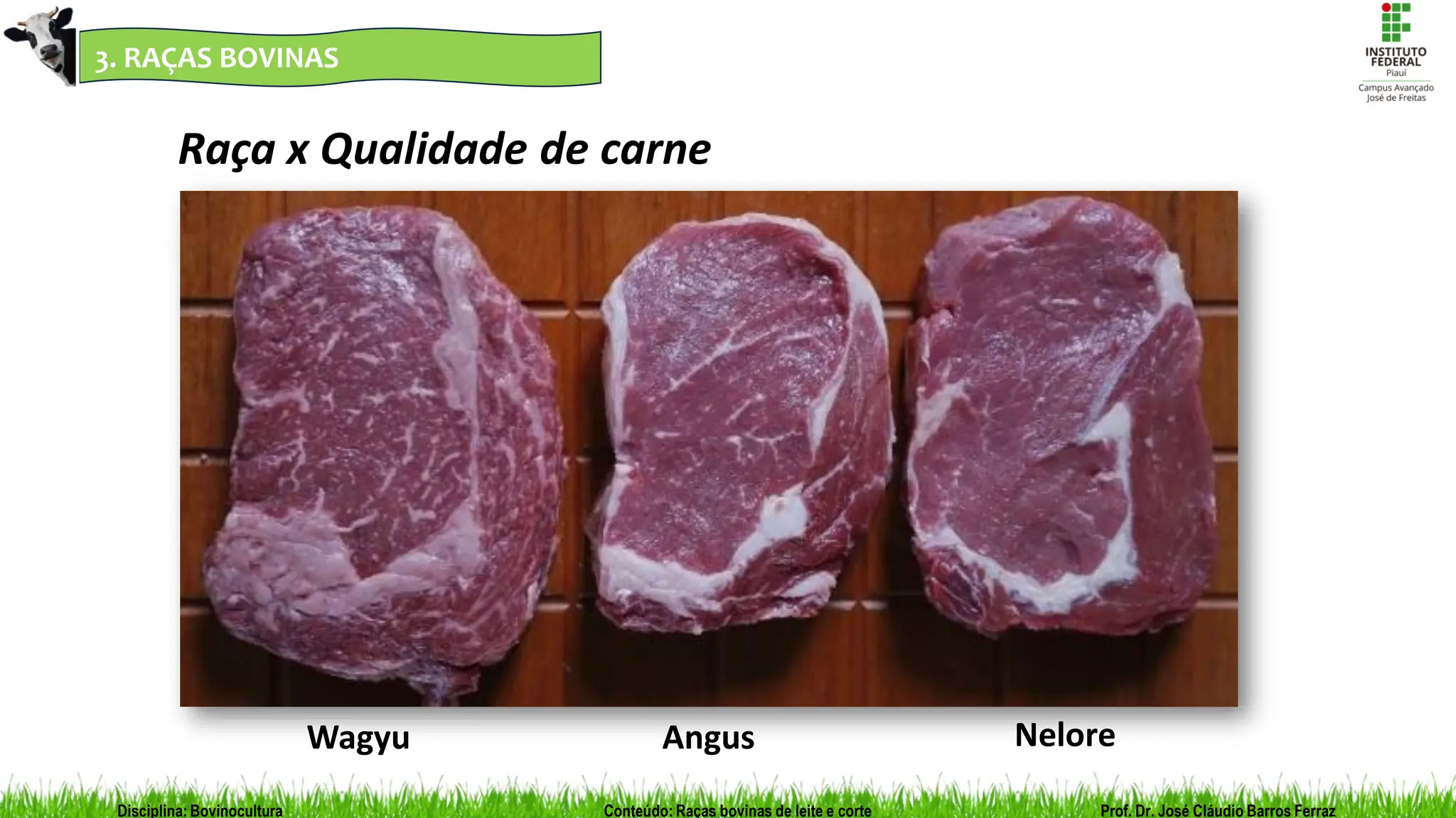 Aula 2_Principais raças bovinas de leite e corte.pdf