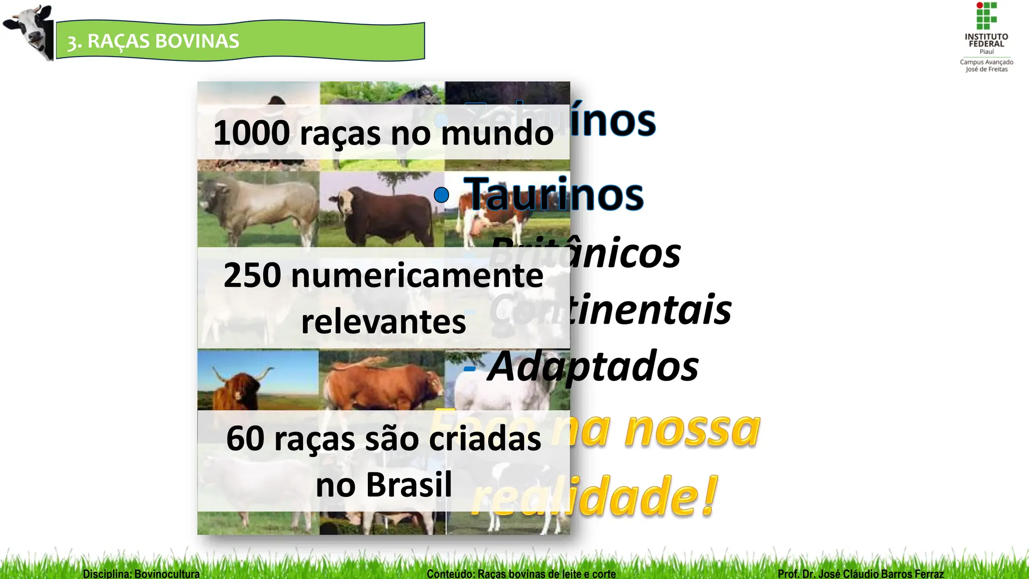 Aula 2_Principais raças bovinas de leite e corte.pdf