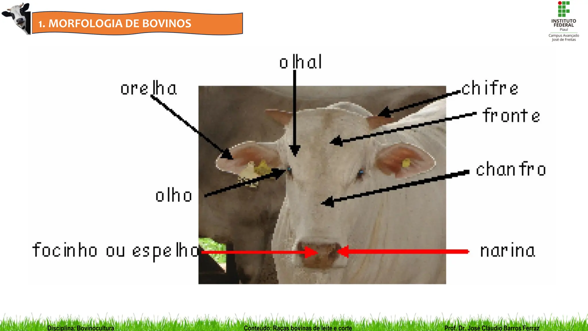 Aula 2_Principais raças bovinas de leite e corte.pdf
