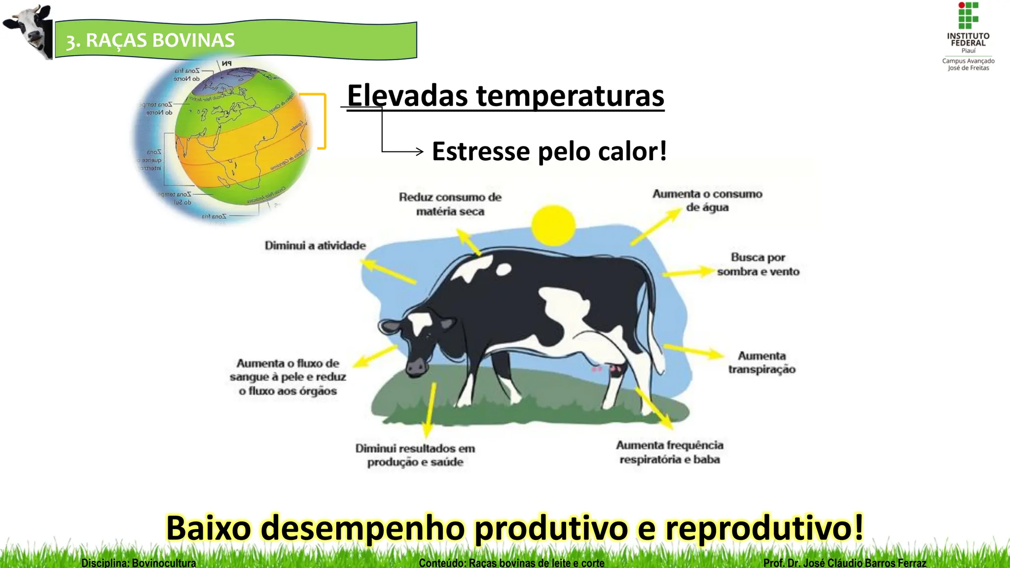Aula 2_Principais raças bovinas de leite e corte.pdf