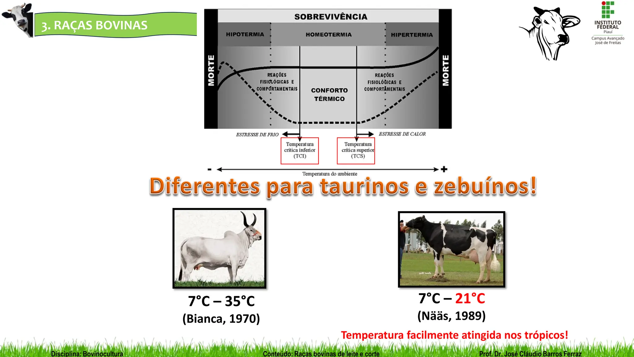 Aula 2_Principais raças bovinas de leite e corte.pdf