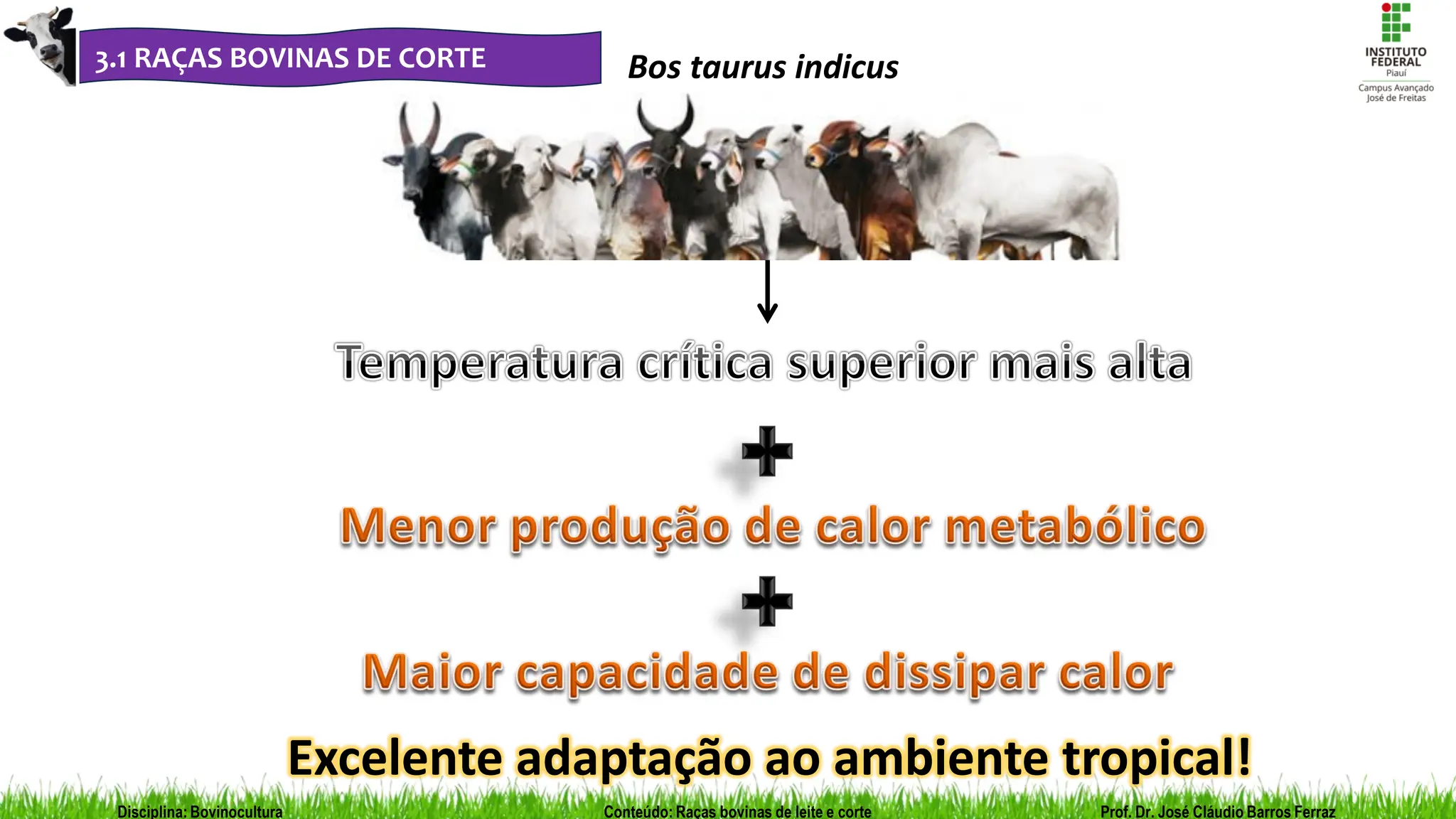Aula 2_Principais raças bovinas de leite e corte.pdf