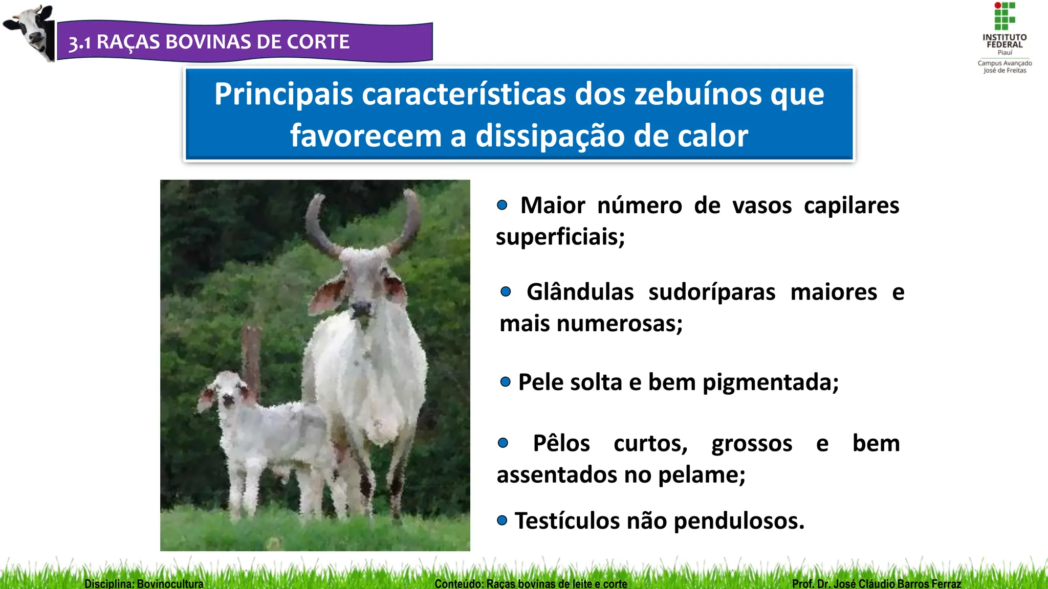 Aula 2_Principais raças bovinas de leite e corte.pdf