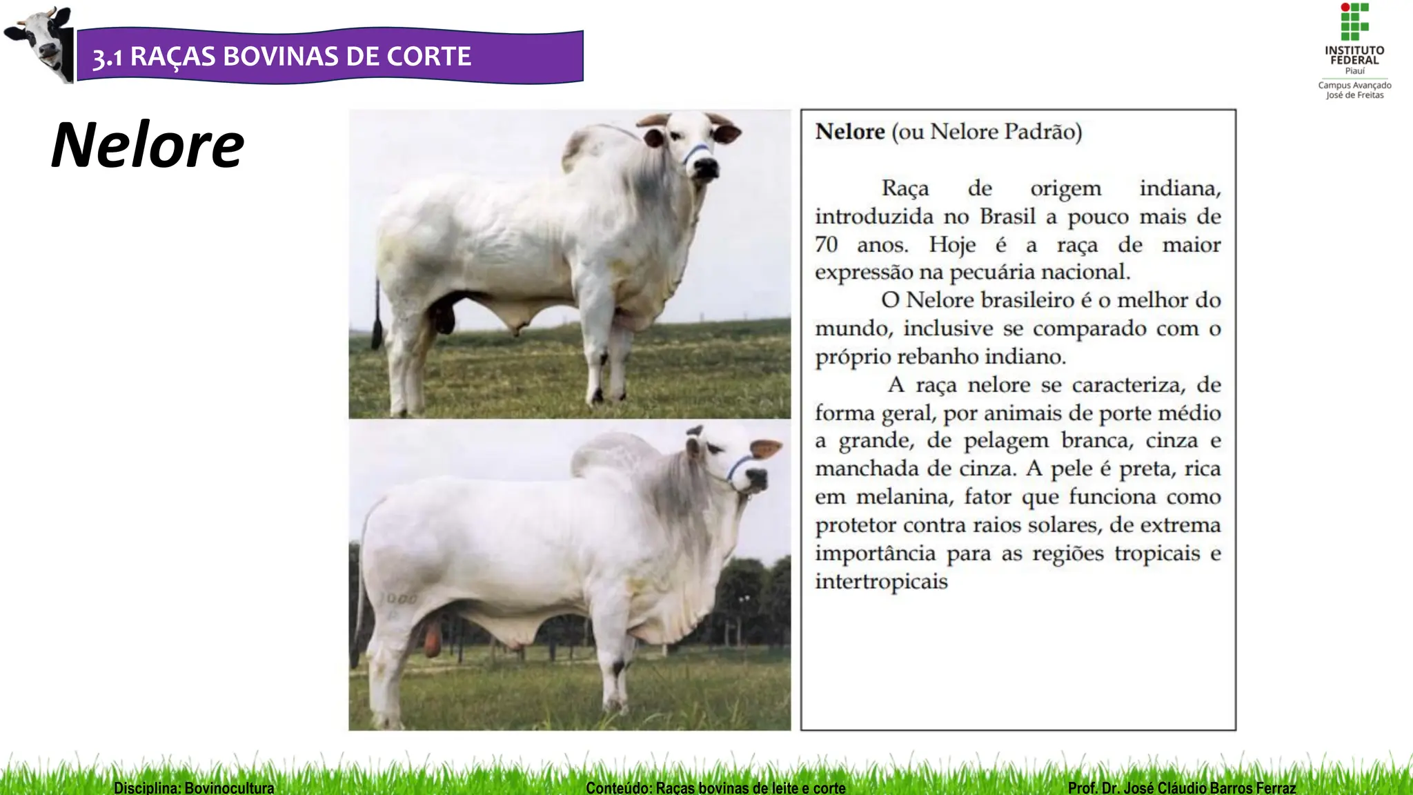Aula 2_Principais raças bovinas de leite e corte.pdf