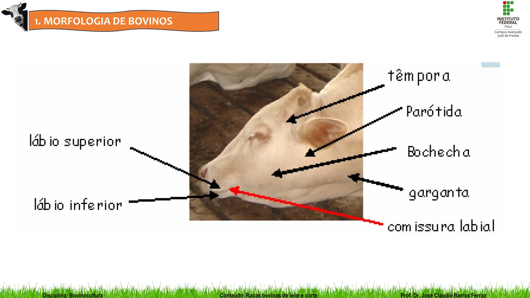 Aula 2_Principais raças bovinas de leite e corte.pdf