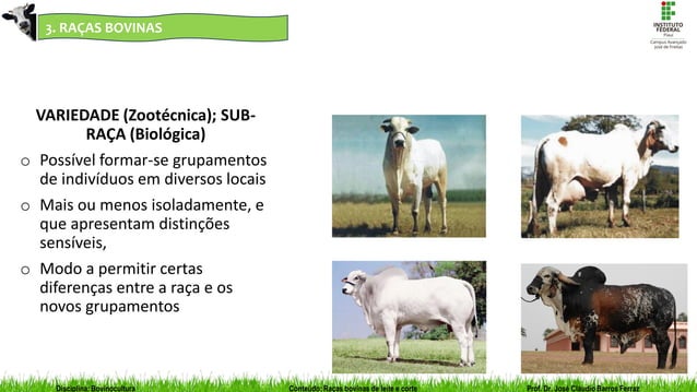 Aula 2_Principais raças bovinas de leite e corte.pdf