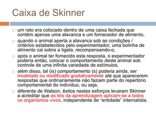 Aula 3 behaviorismos | PPTX