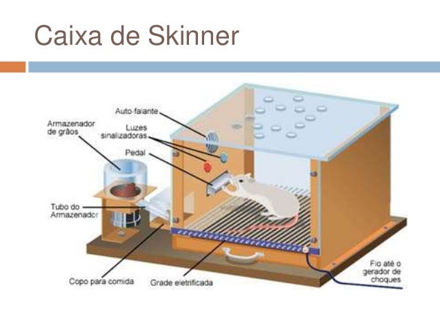 Aula 3 behaviorismos