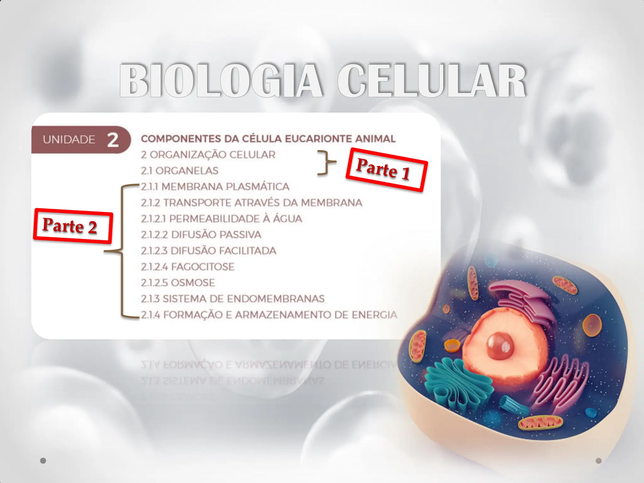 Aula 3- Biologia Celular - Componente da Celula Eucarionte Animal ...